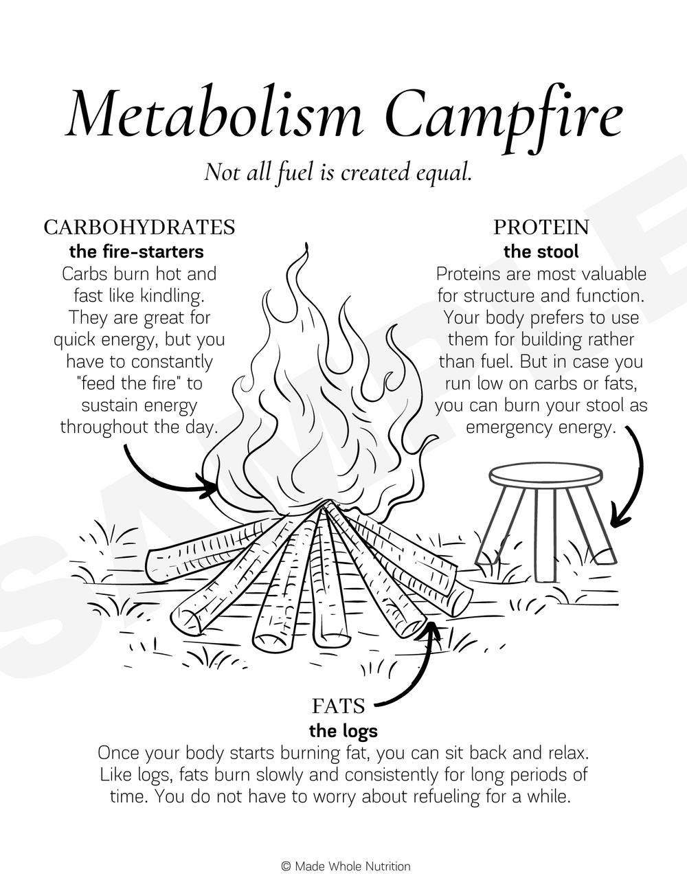 Sources of Fiber Handout — Functional Health Research + Resources ...