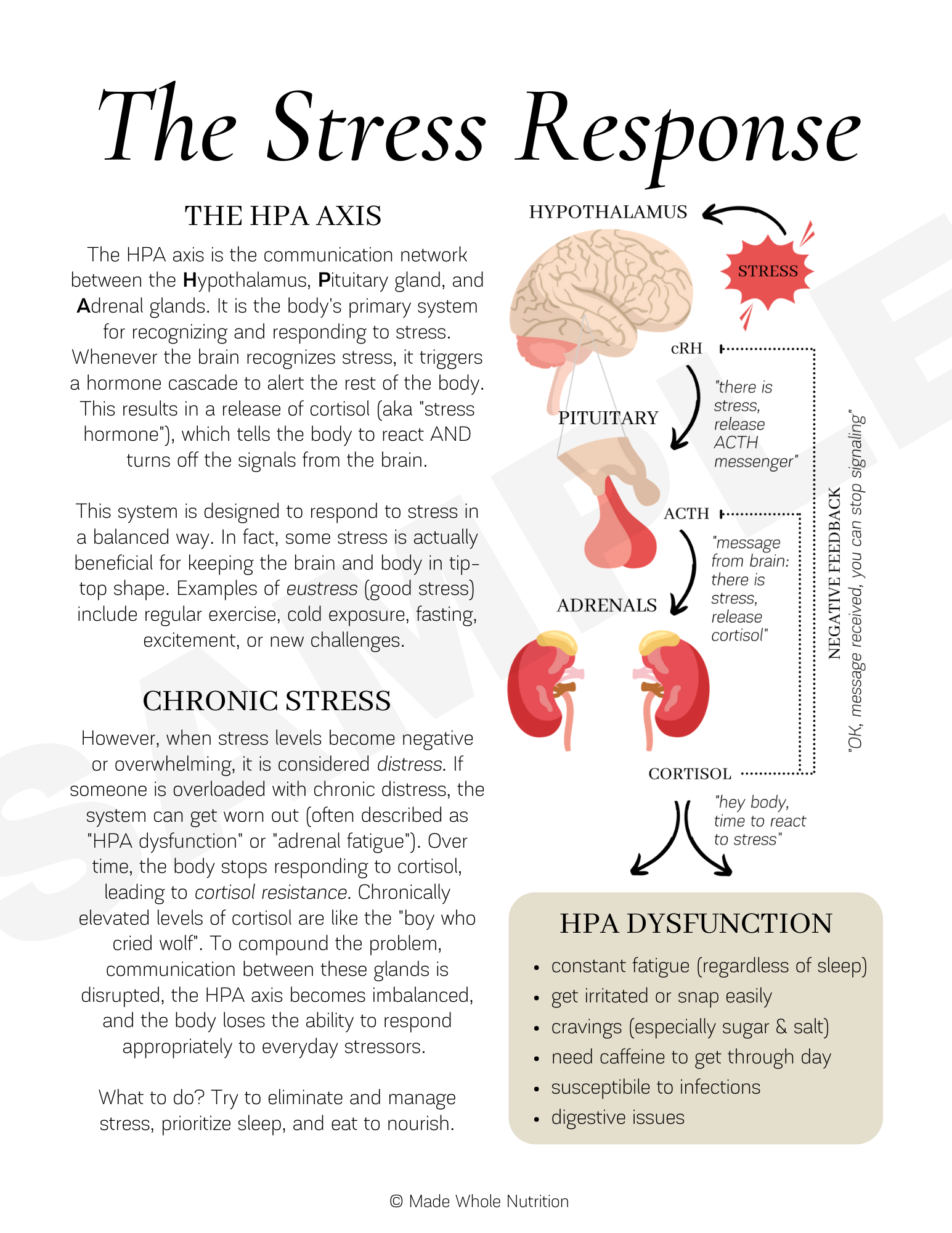 Stress Response Handout — Functional Health Research + Resources — Made ...