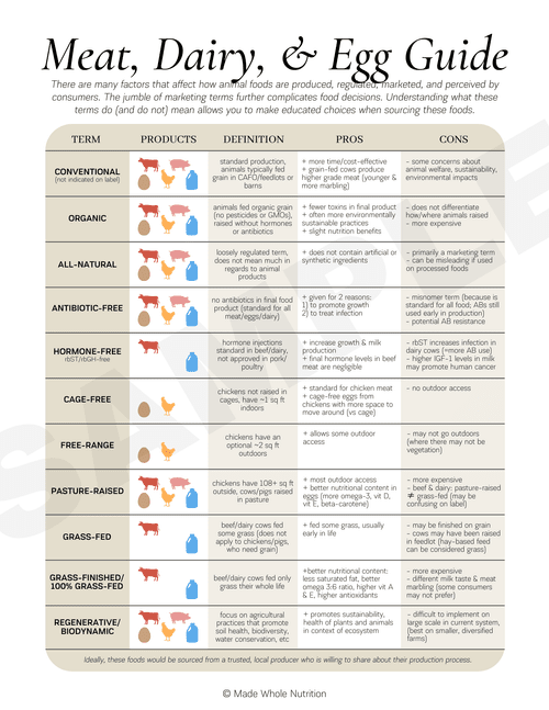 Common Food Additives Handout — Functional Health Research + Resources ...