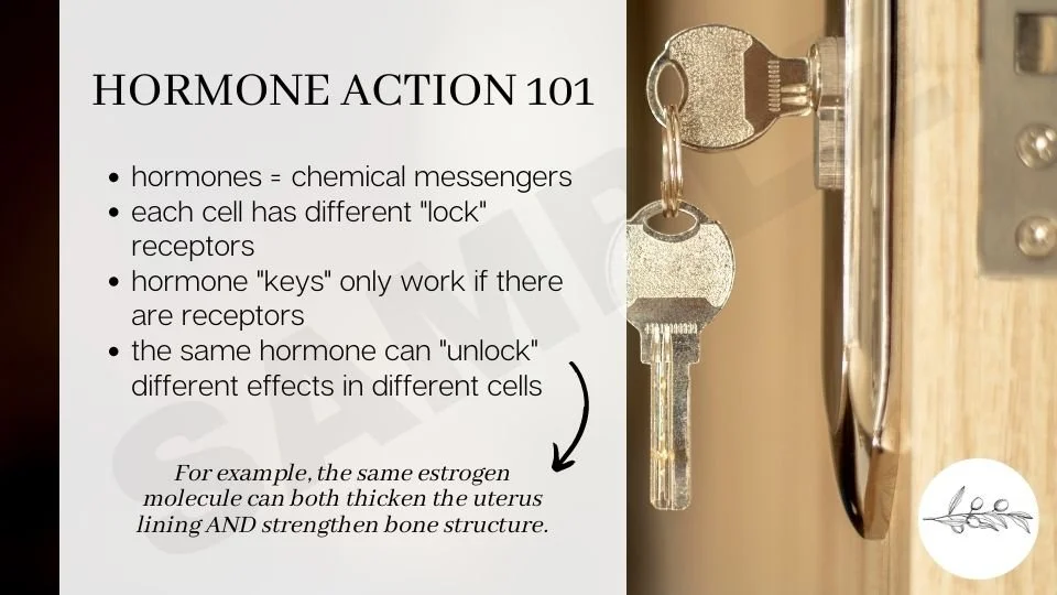 Mighty Minerals (slides) — Functional Health Research + Resources ...