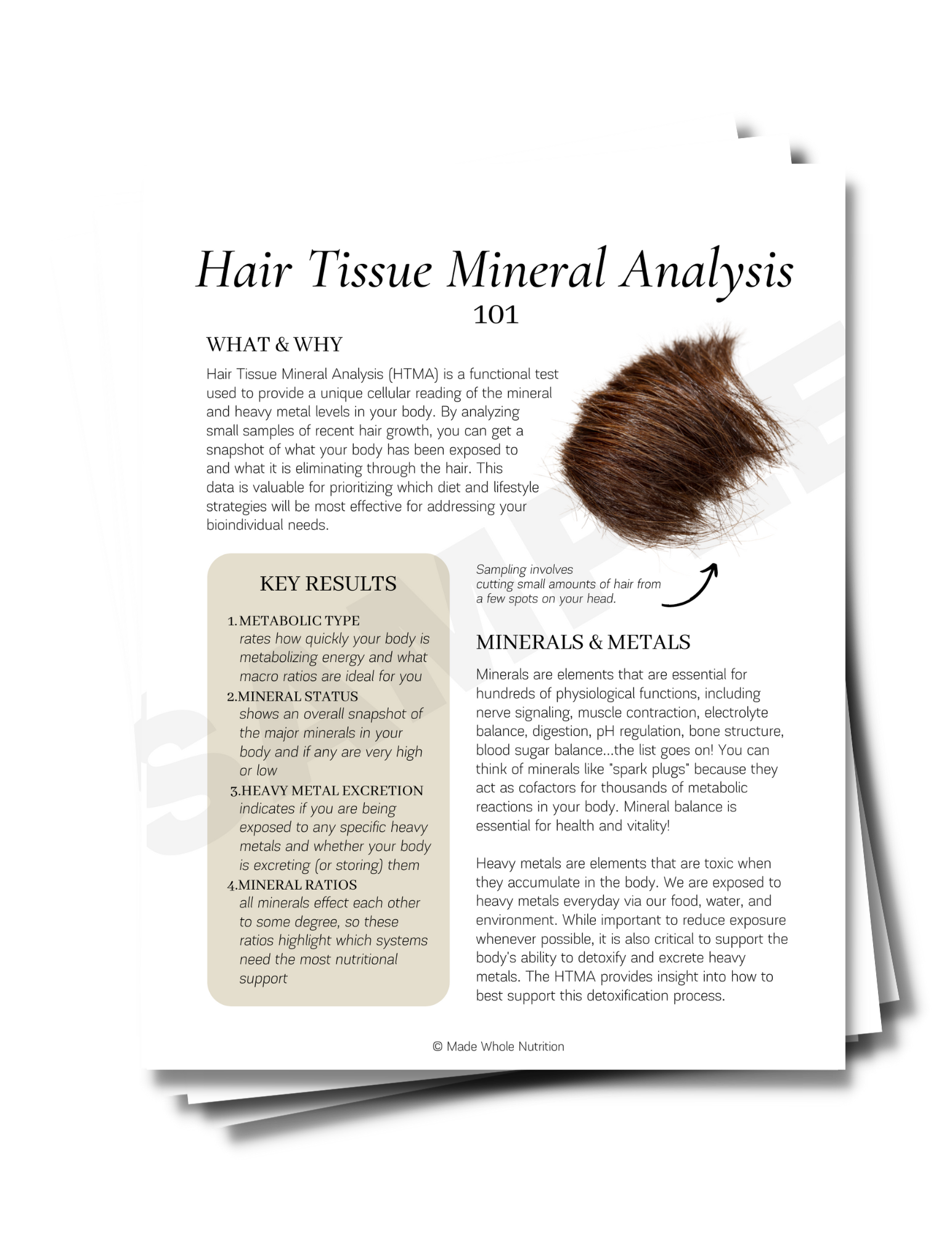 Macro Basics Handout Bundle Functional Health Research Resources