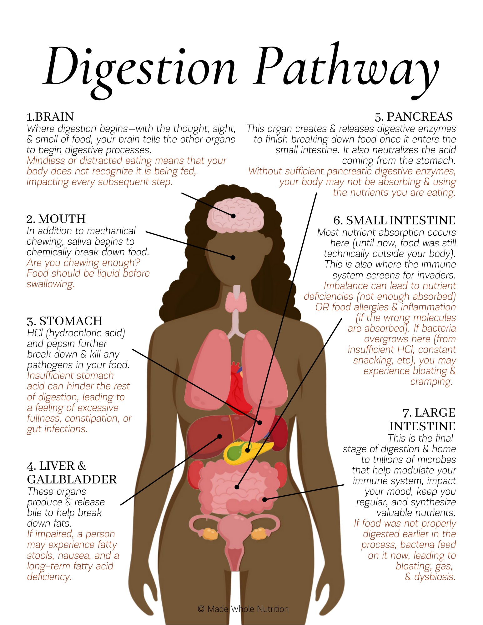 Most Popular (handout bundle) — Functional Health Research + Resources ...