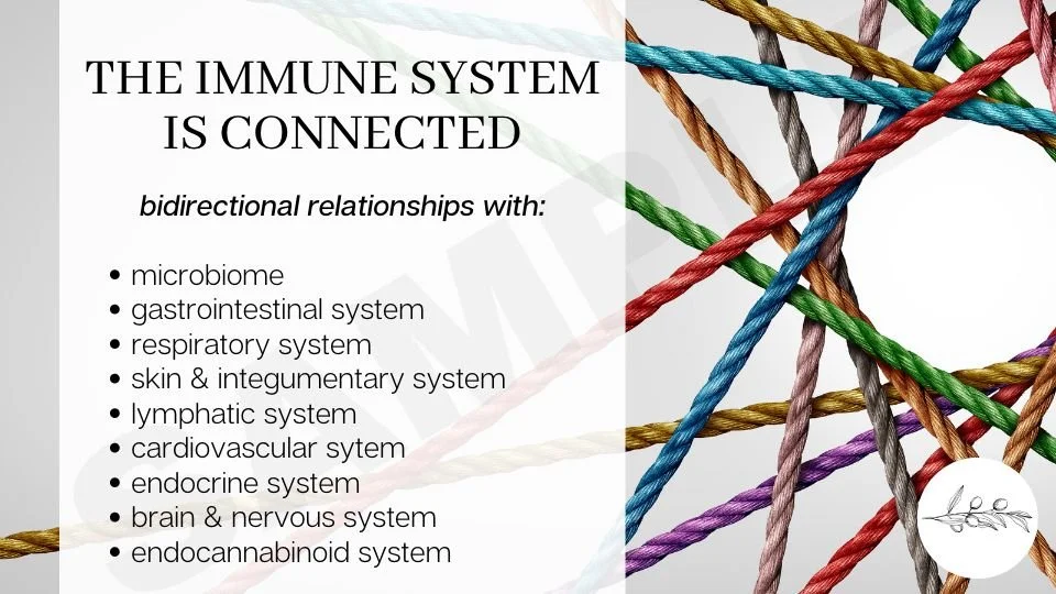 Healthy Fat Slides — Functional Health Research + Resources — Made ...