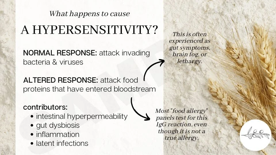 Healthy Fat Slides — Functional Health Research + Resources — Made ...