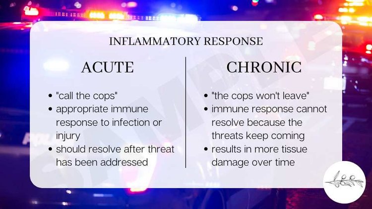 Healthy Fat Slides — Functional Health Research + Resources — Made ...