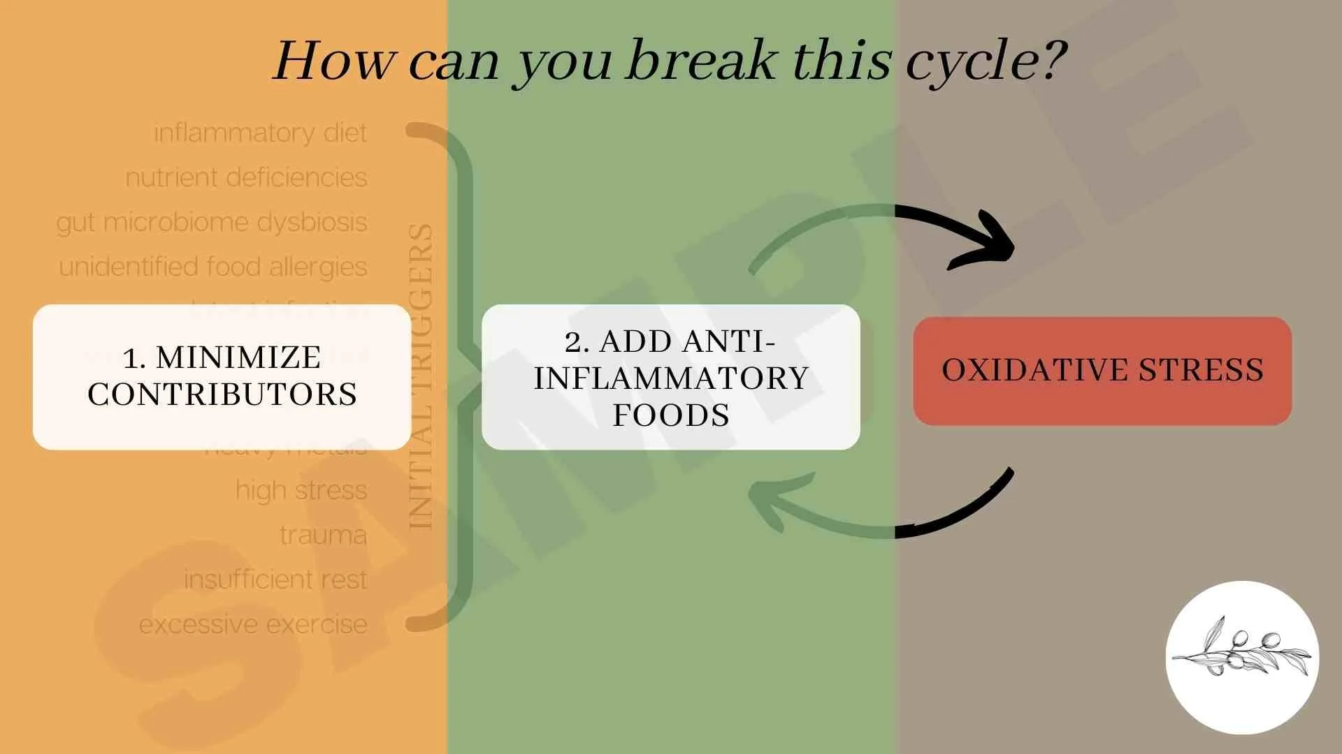 Your Stress Bucket (slides) — Functional Health Research + Resources ...