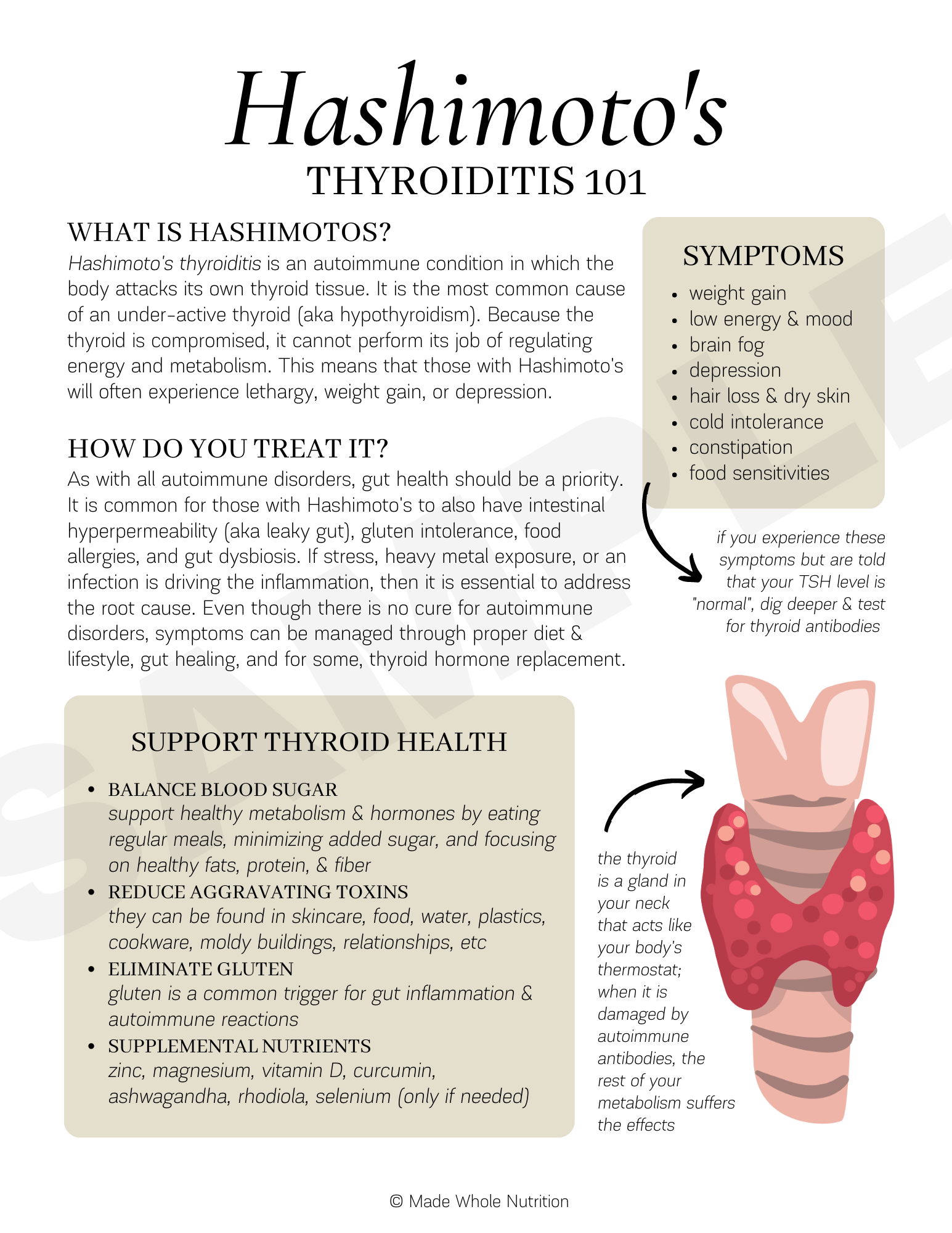 Hashimoto's Thyroiditis 101 Handout — Functional Health Research ...