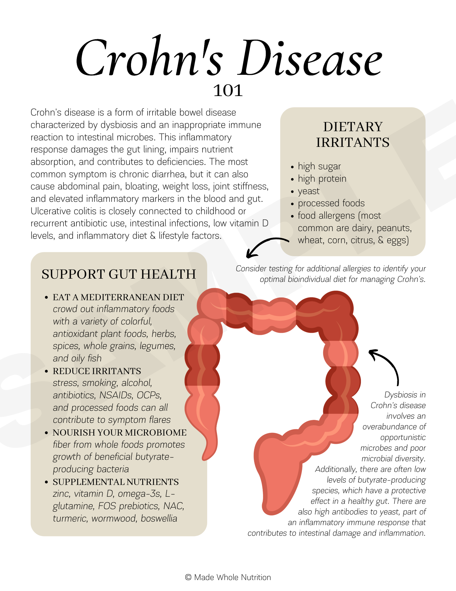 Cardiovascular Health (handout bundle) — Functional Health Research ...