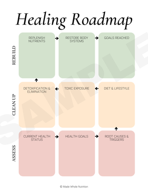 Detox 101 Handout — Functional Health Research + Resources — Made Whole ...