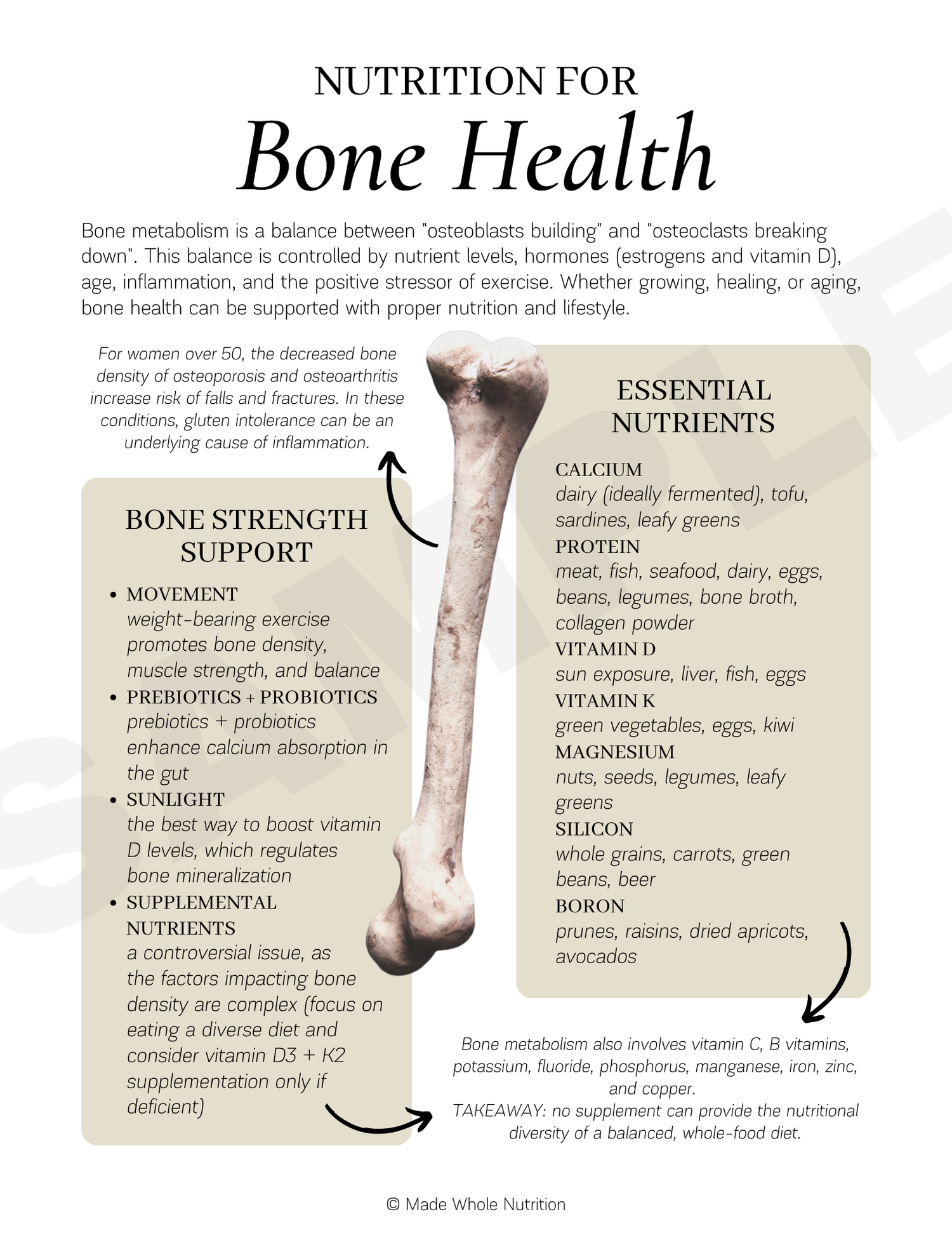 Bone Density Nutrition: Top Foods & Health Benefits - Senior Surge