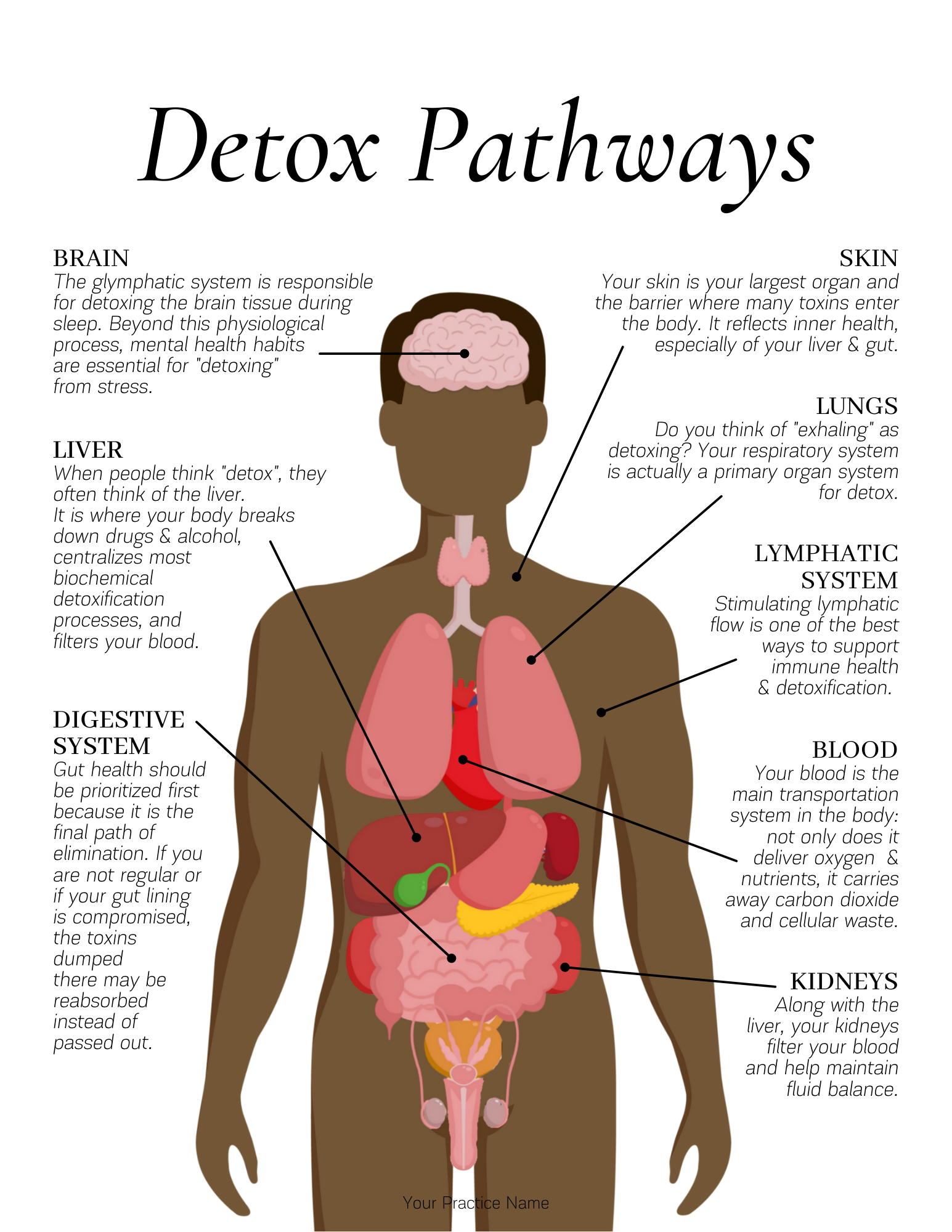 Foods to Support Detoxification Handout — Functional Health Research ...