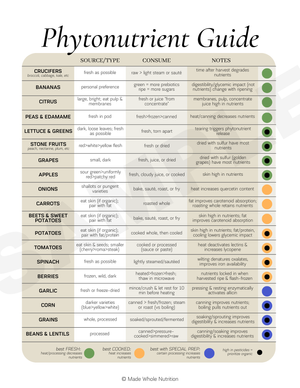 Common Food Additives Handout — Functional Health Research + Resources ...