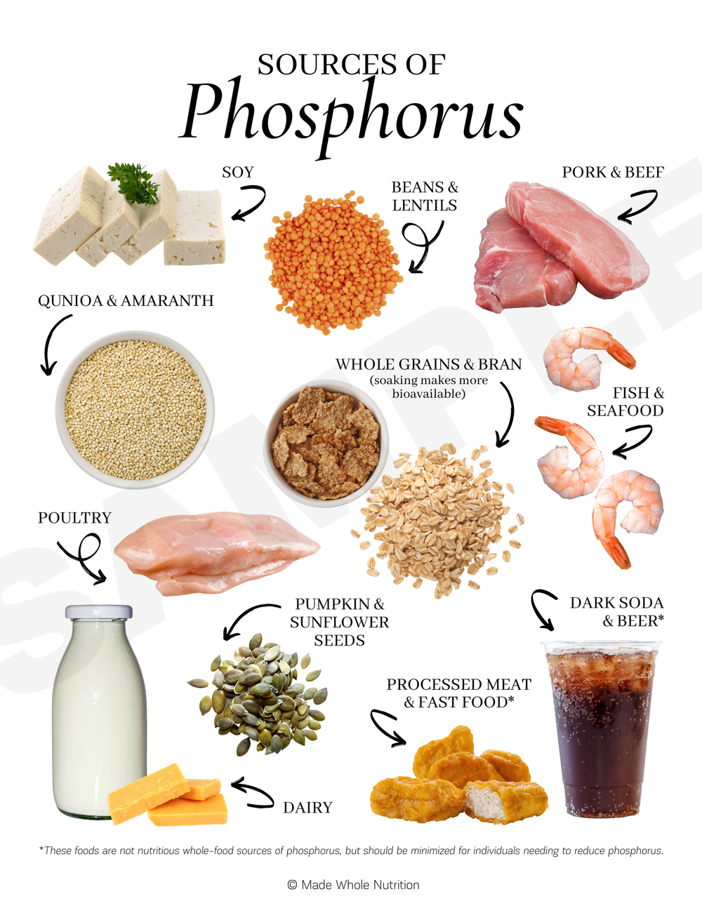 Whole Food Pyramid Handout — Functional Health Research + Resources ...