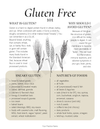 Digestive Health (handout bundle) — Functional Health Research ...
