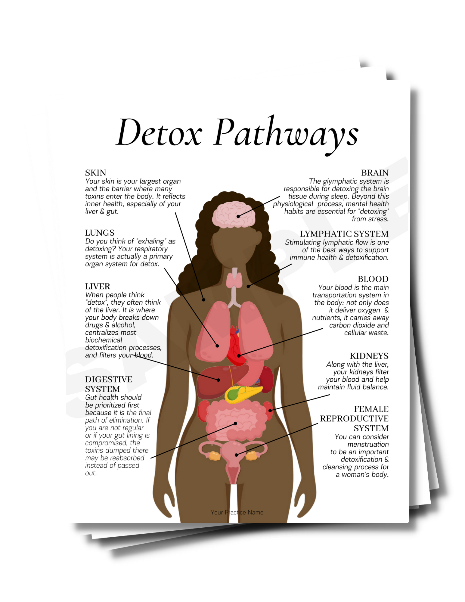 Lymphatic Health Handout — Functional Health Research + Resources ...