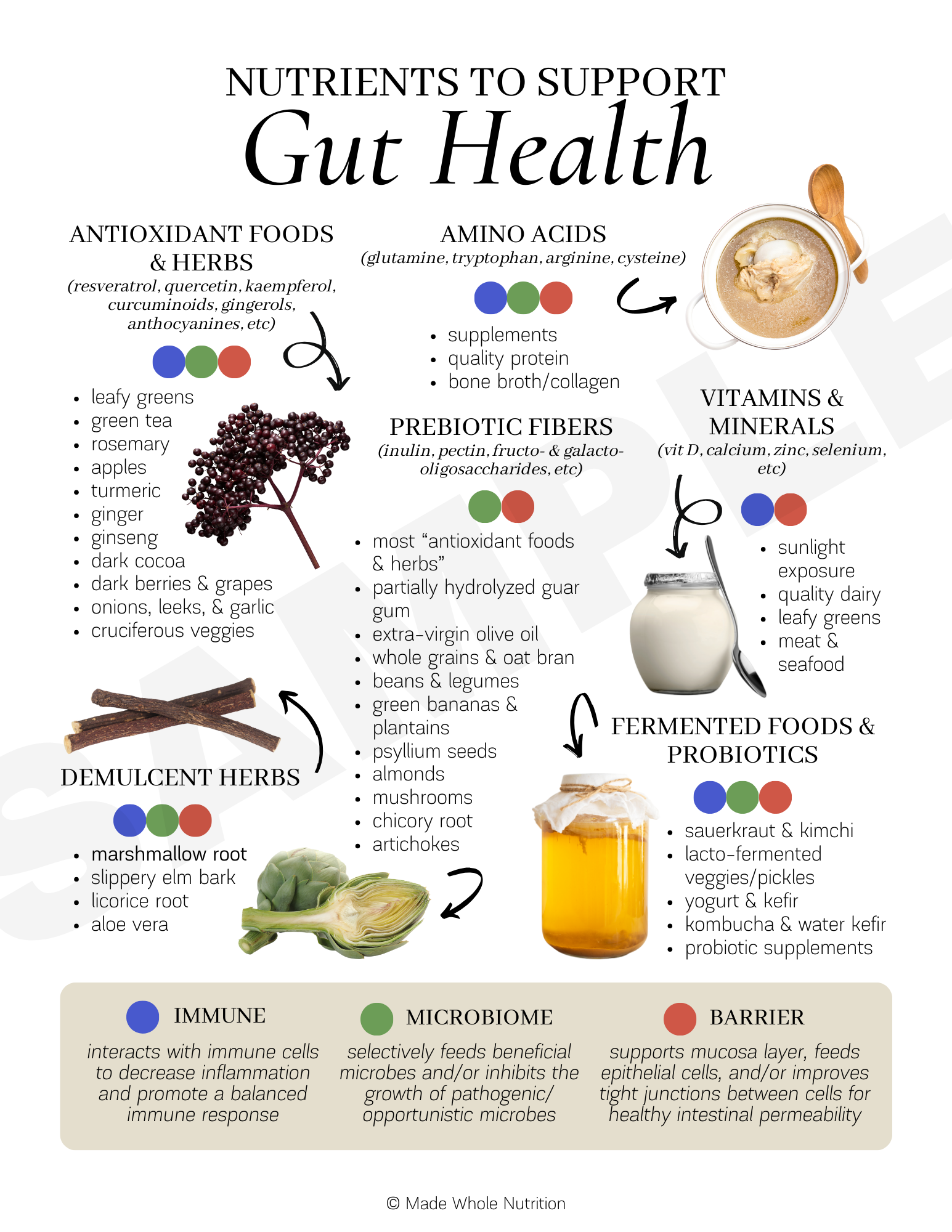 Digestive Enzymes Handout — Functional Health Research + Resources ...