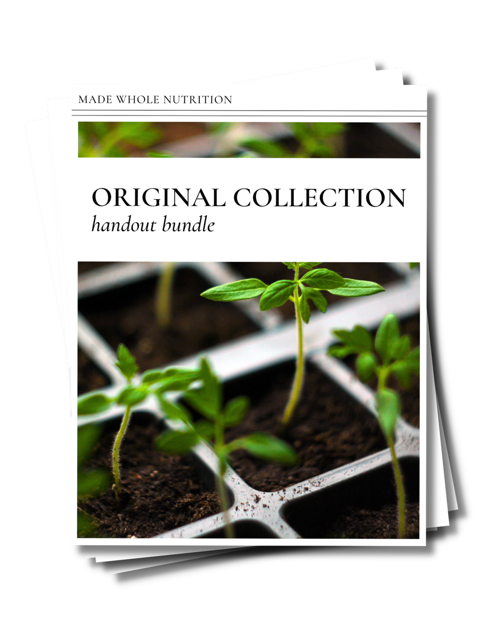 Digestive Health (handout bundle) — Functional Health Research ...