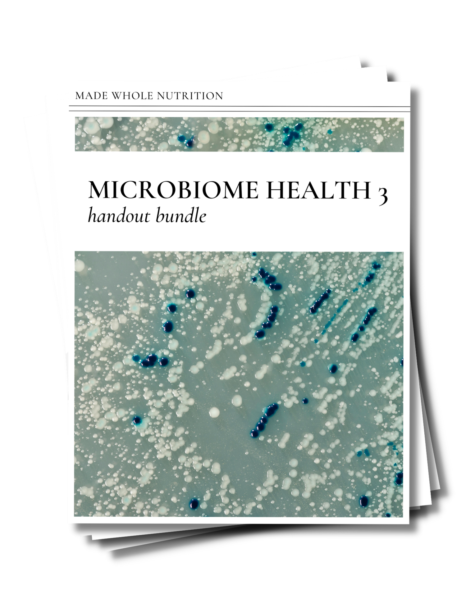 Most Popular Handout Bundle Functional Health Research Resources