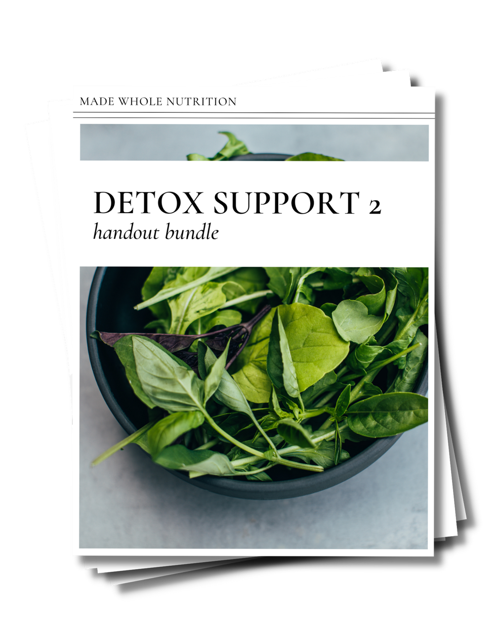 Detox 101 Handout — Functional Health Research + Resources — Made Whole ...