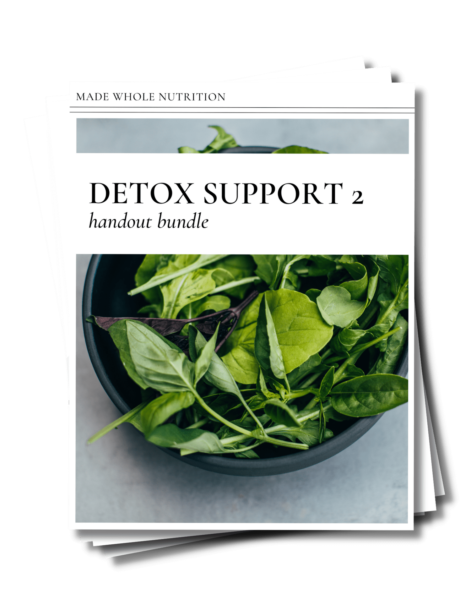 Detox 101 Handout — Functional Health Research + Resources — Made Whole ...