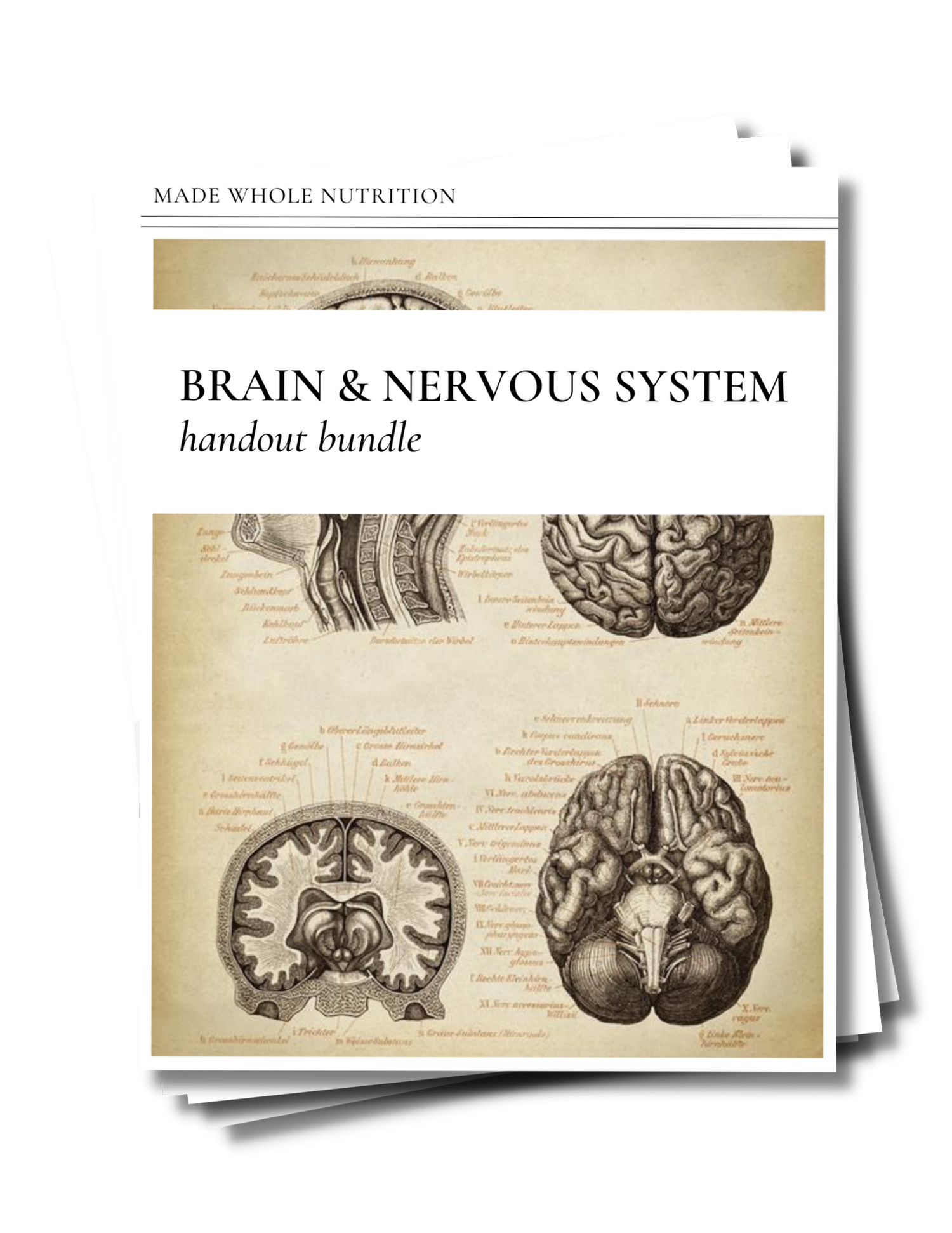Nutrition for Mental Health Handout — Functional Health Research ...