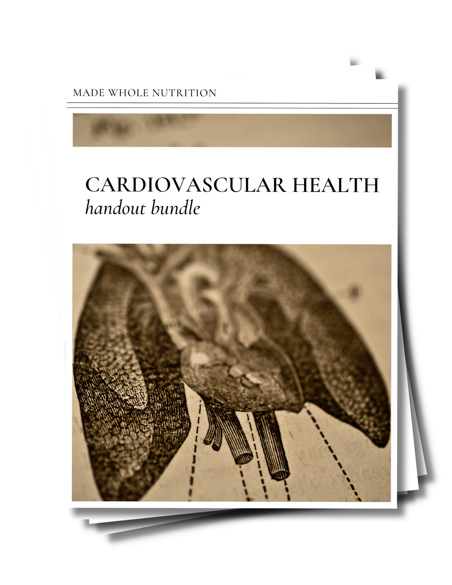 Macro Basics (handout bundle) — Functional Health Research + Resources ...