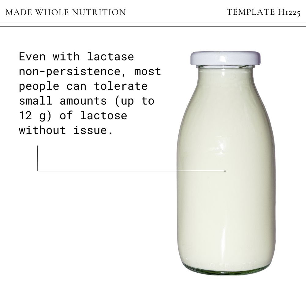 WHAT IS LACTASE NON-PERSISTANCE? (and how to improve lactose ...