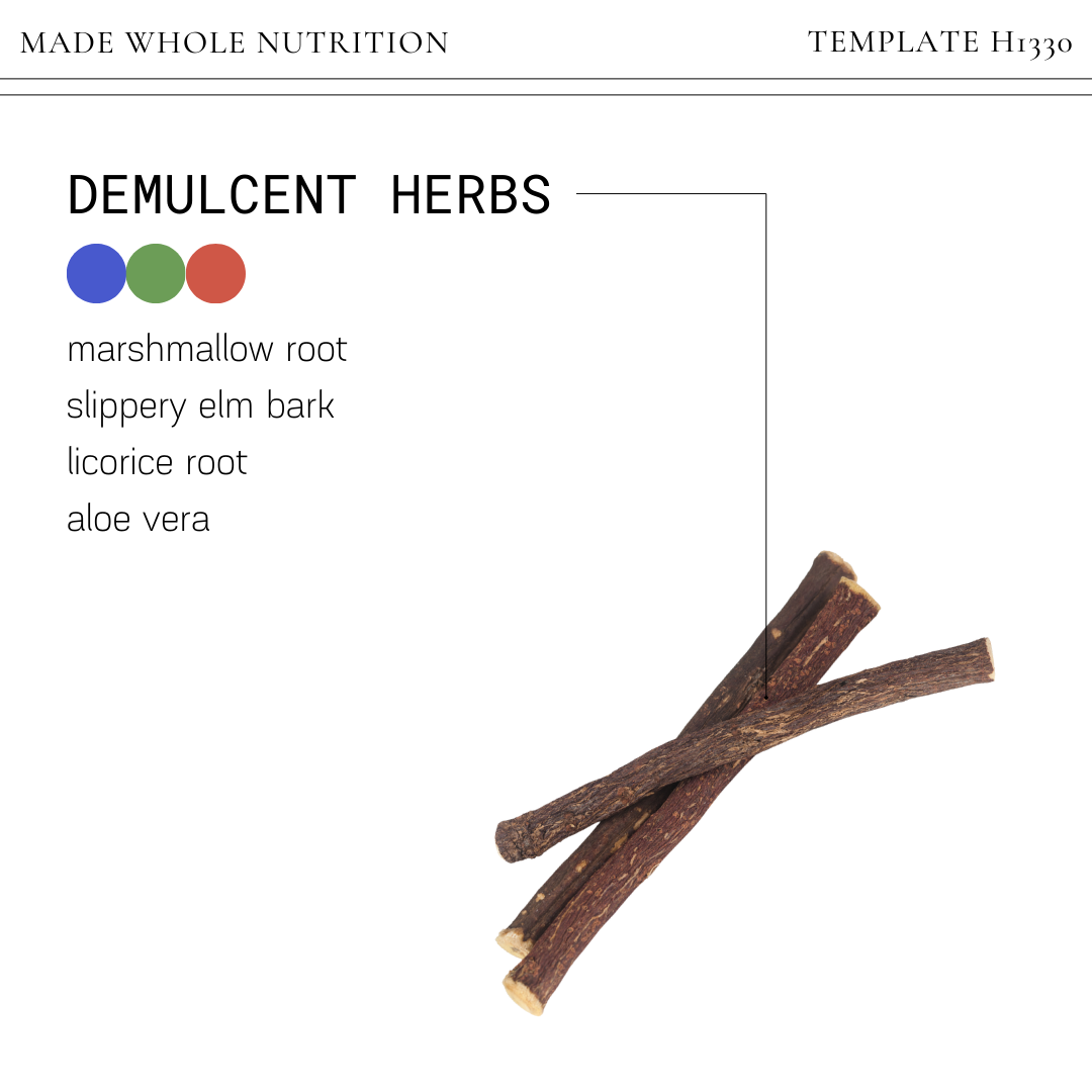 Top Nutrients for Gut Healing (beyond a probiotic) — Functional Health ...