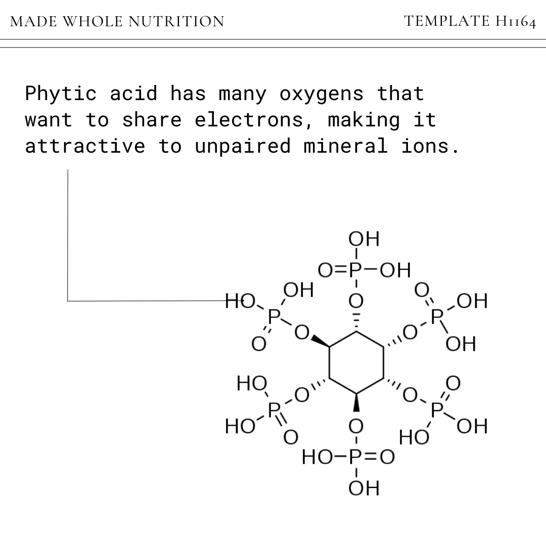 PHYTATES: to eat or not to eat? — Functional Health Research ...