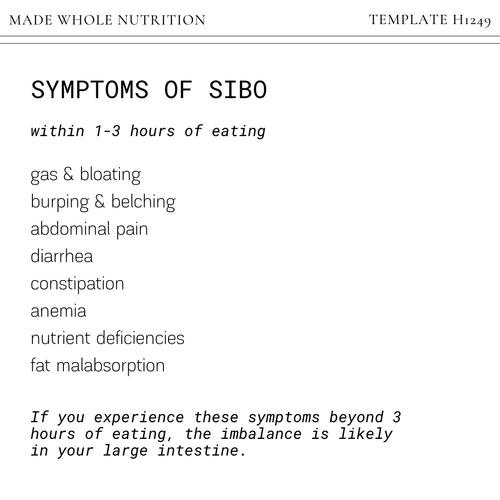 SIBO 101: 4 ways to manage small intestine bacterial overgrowth ...