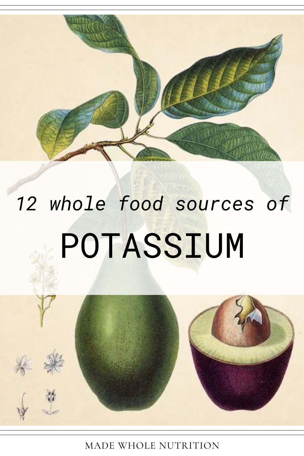 12 Whole Food Sources of Potassium — Functional Health Research ...