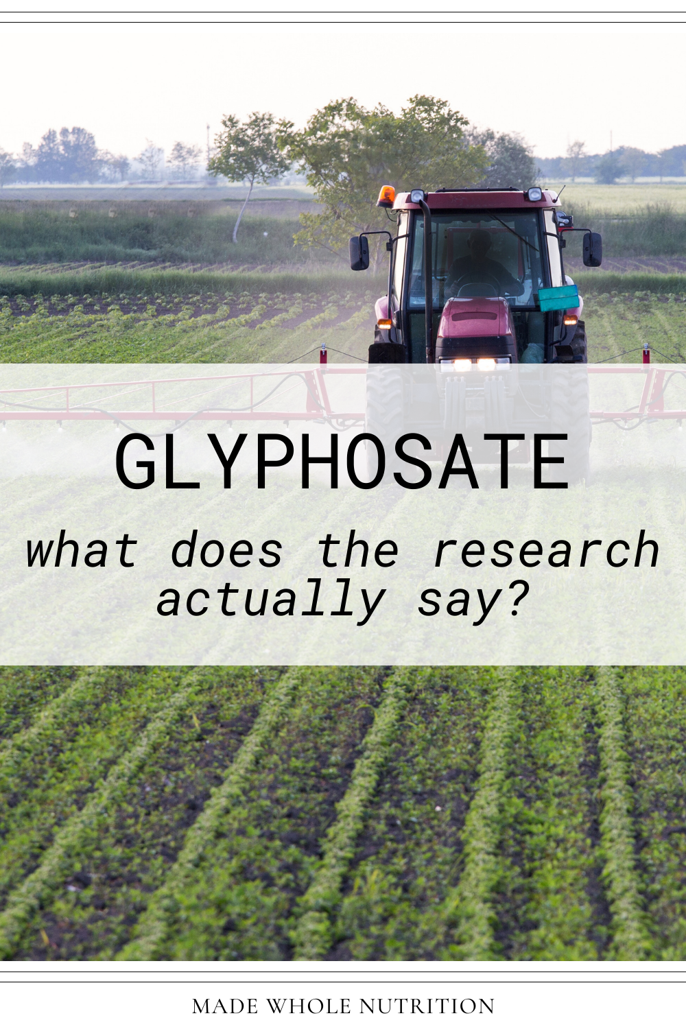 GLYPHOSATE: what does the research actually say? — Functional Health ...