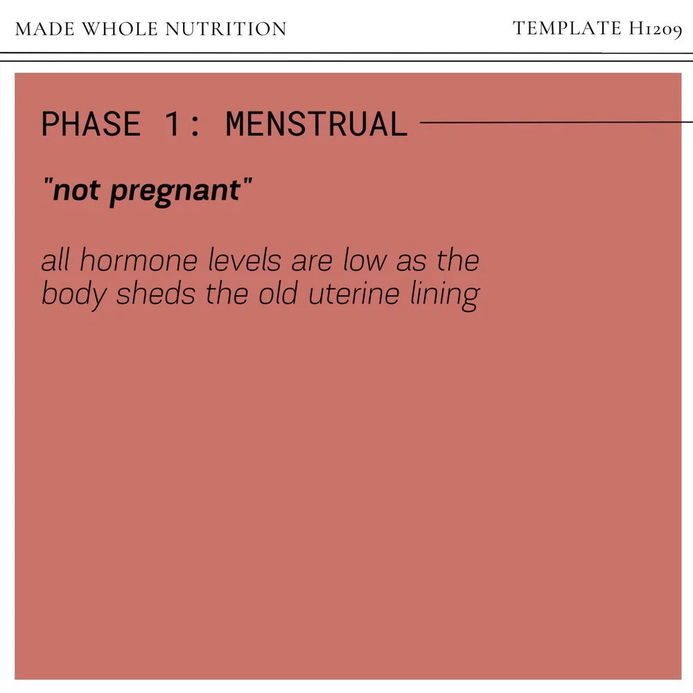 MENSTRUAL HORMONES 101: the what, when, & how of female hormone rhythm ...