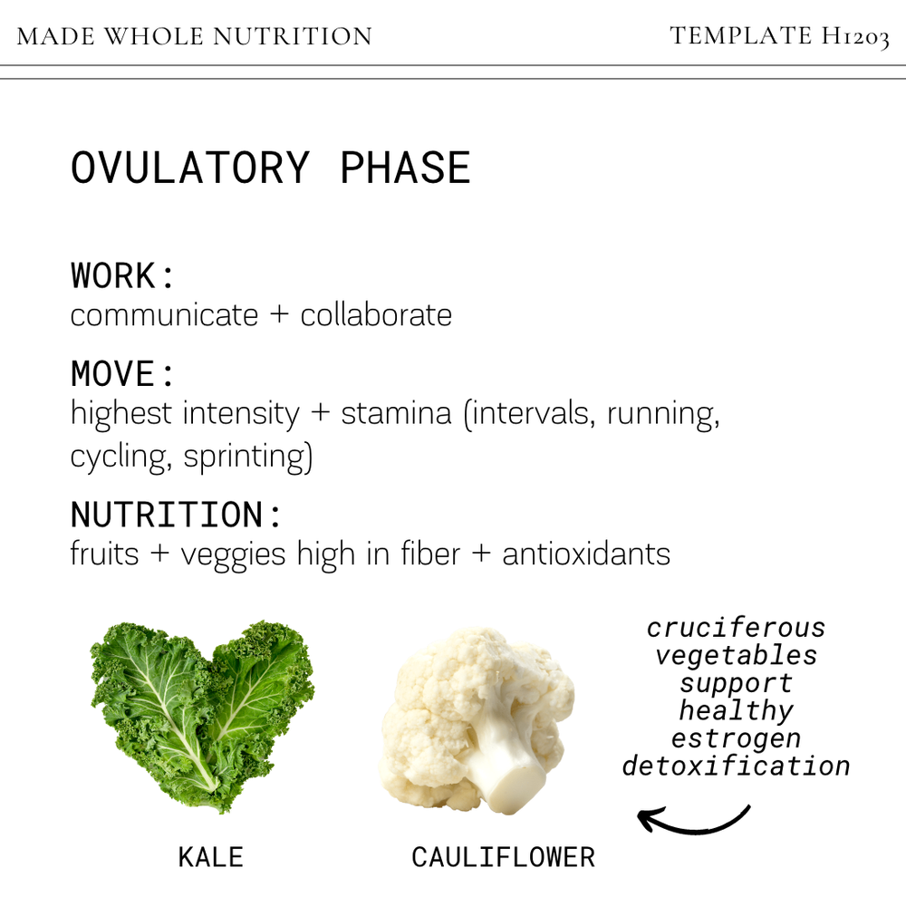 OVULATORY PHASE Cycle Syncing Guide — Functional Health Research ...