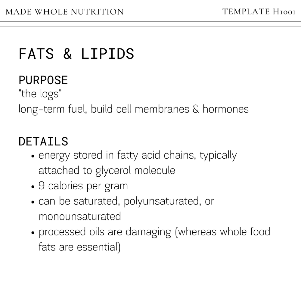 MACRONUTRIENTS 101: all you need to know about fats, carbs, & proteins ...