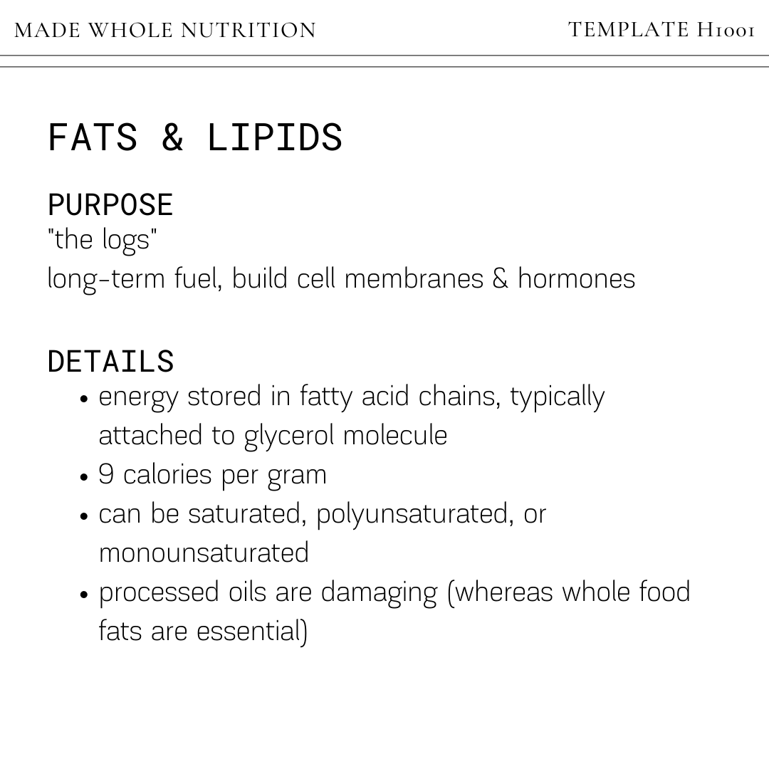 MACRONUTRIENTS 101: all you need to know about fats, carbs, & proteins ...