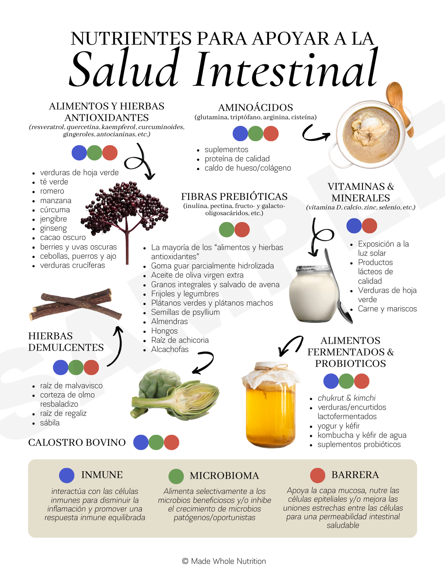 How to Read a Probiotic Label Handout — Functional Health Research ...