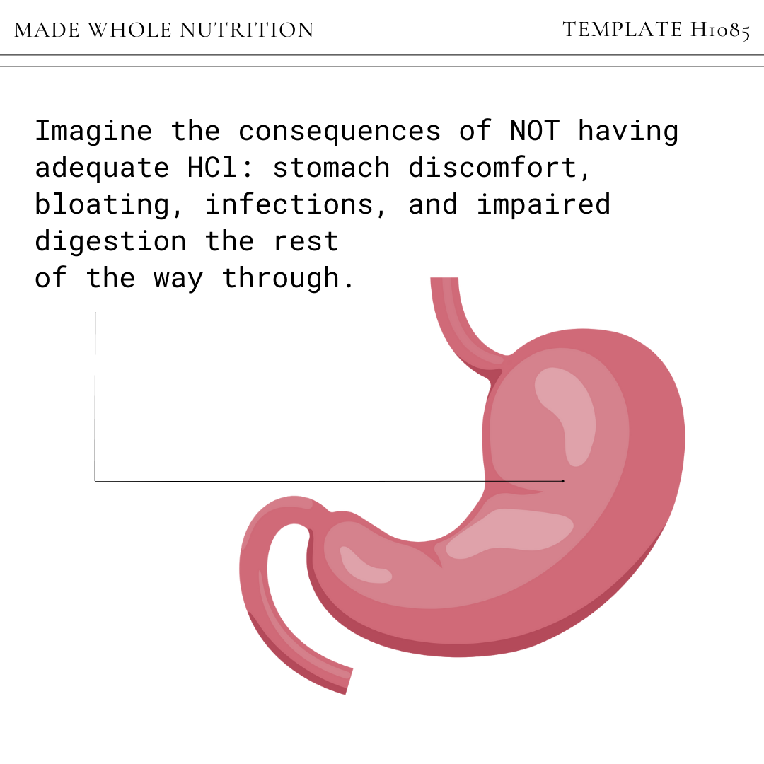 STOMACH ACID 101 (and how to manage acid reflux) — Functional Health ...