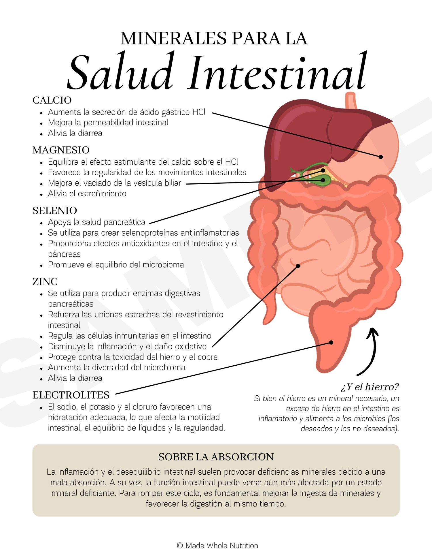 Microbiome Health 2 (handout bundle) — Functional Health Research ...
