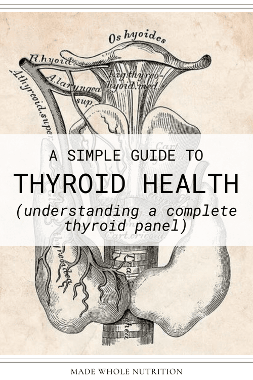 A Simple Guide to THYROID HEALTH (understanding a complete thyroid ...