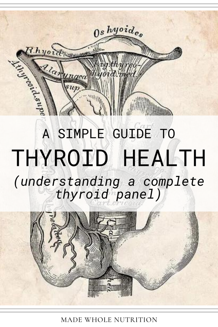 A Simple Guide to THYROID HEALTH (understanding a complete thyroid ...