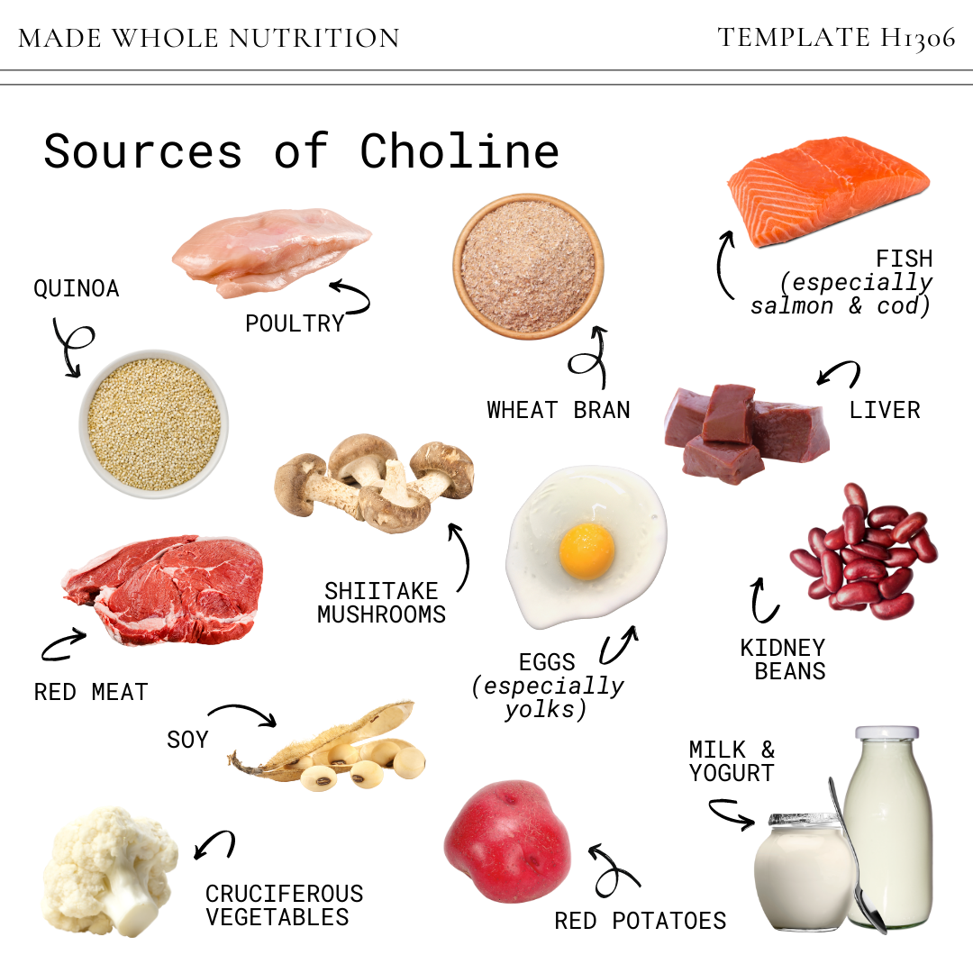 14 Whole Food Sources of Choline — Functional Health Research ...