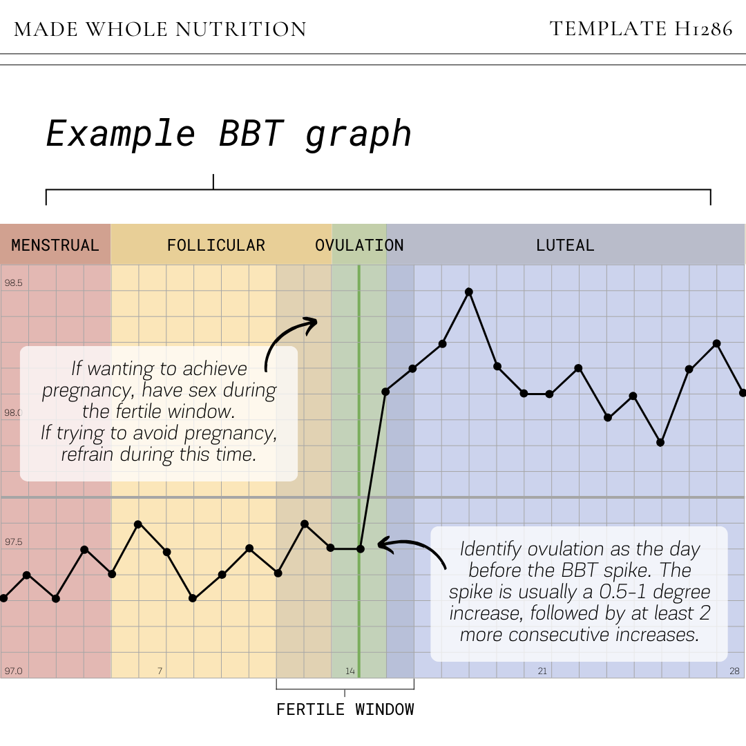 How to Measure & Interpret Basal Body Temperature — Functional Health ...