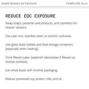 Common Sources of Endocrine Disrupting Chemicals — Functional Health ...