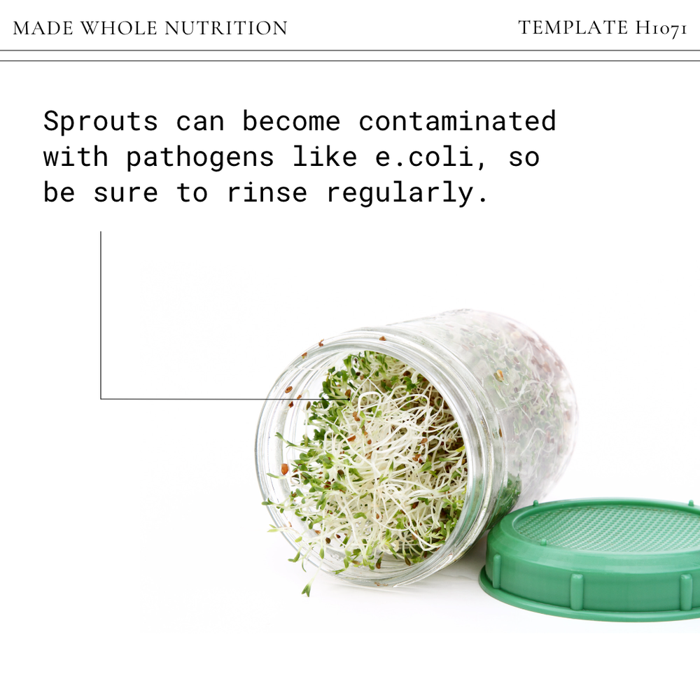 How to SOAK + SPROUT Grains, Beans, Lentils, Seeds, & Nuts — Functional ...
