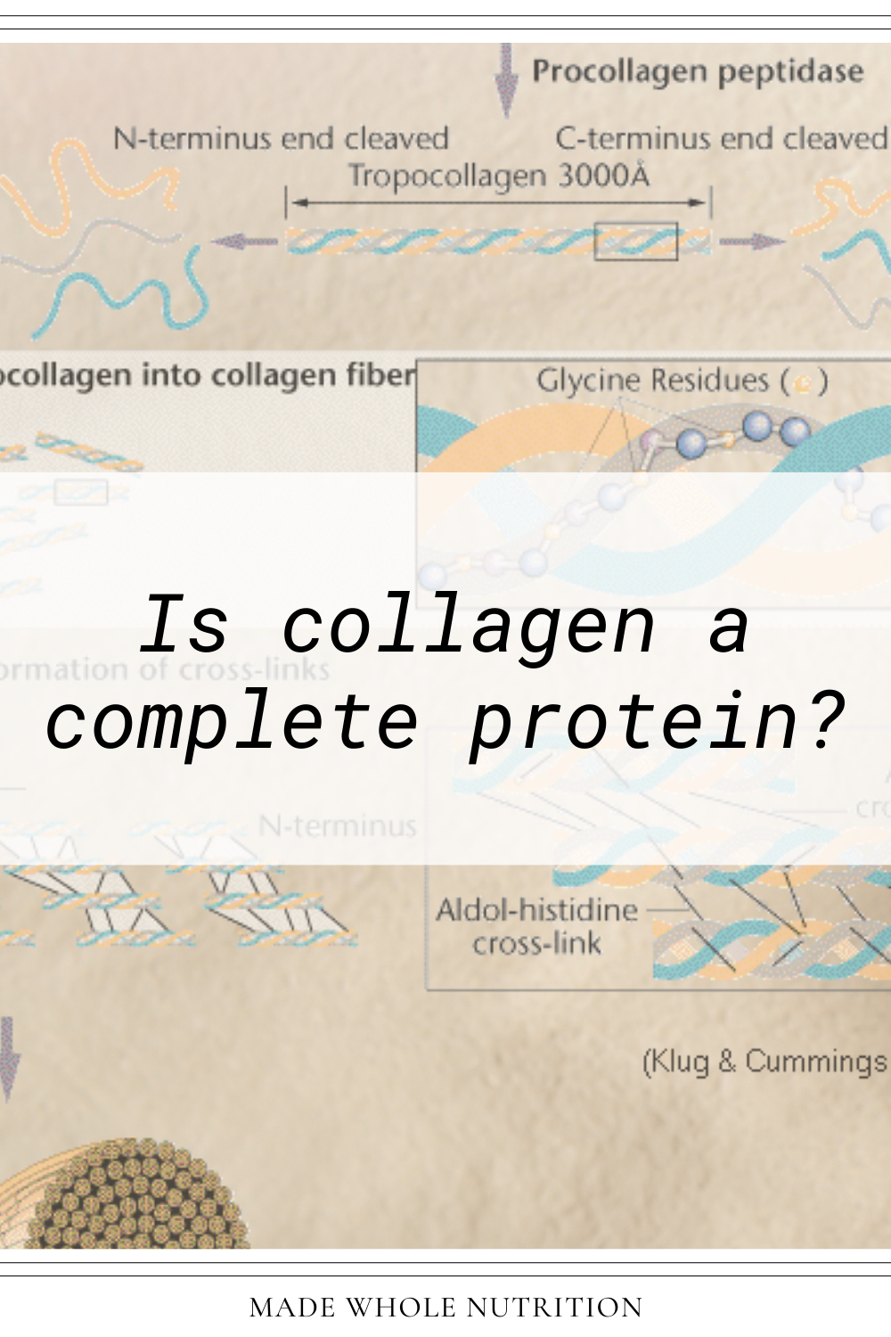 Is collagen a complete protein? — Functional Health Research ...