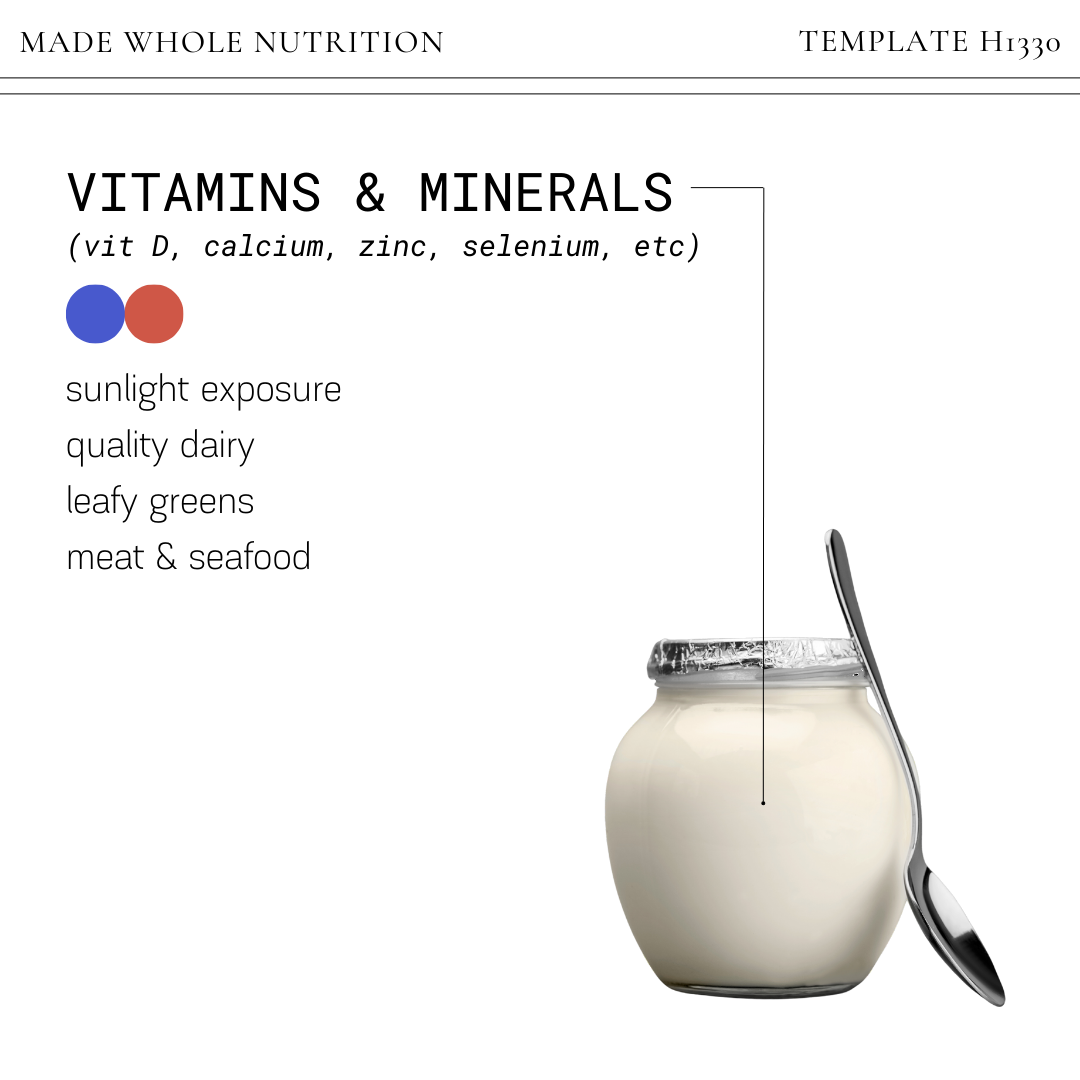 Top Nutrients for Gut Healing (beyond a probiotic) — Functional Health ...