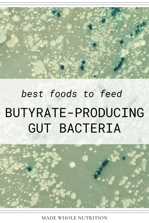 Best Foods to Feed Butyrate-Producing Gut Bacteria — Functional Health ...