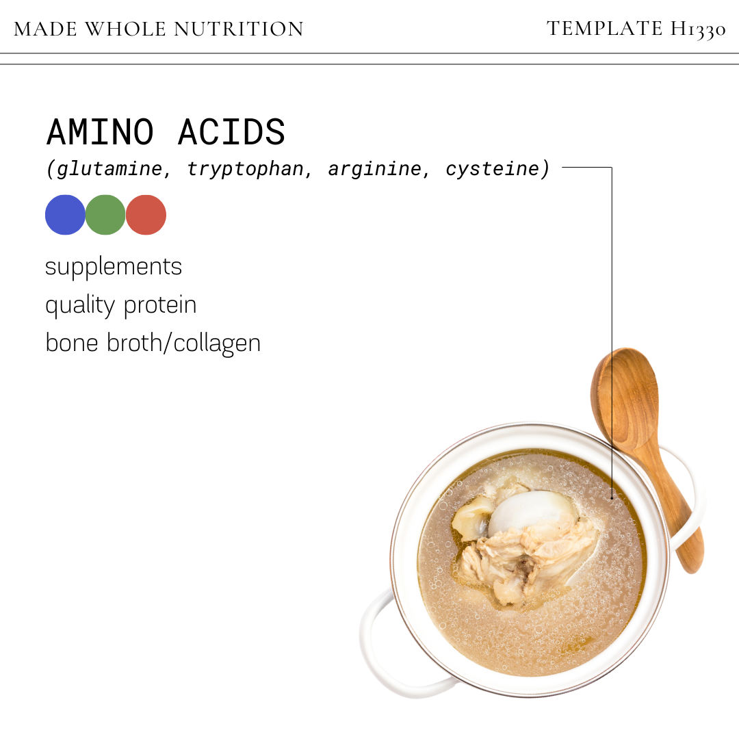 Top Nutrients for Gut Healing (beyond a probiotic) — Functional Health ...
