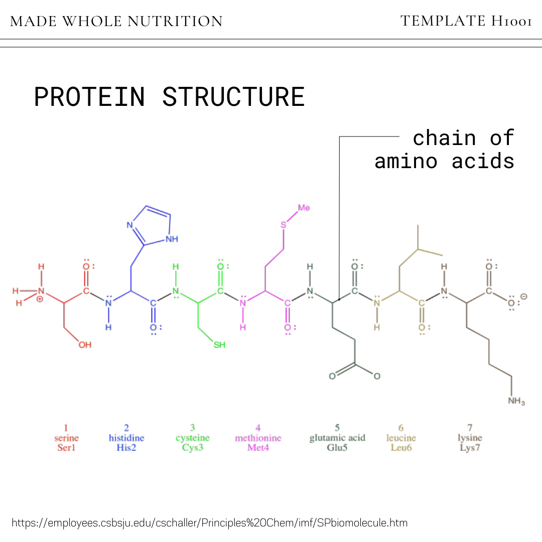 MACRONUTRIENTS 101: all you need to know about fats, carbs, & proteins ...